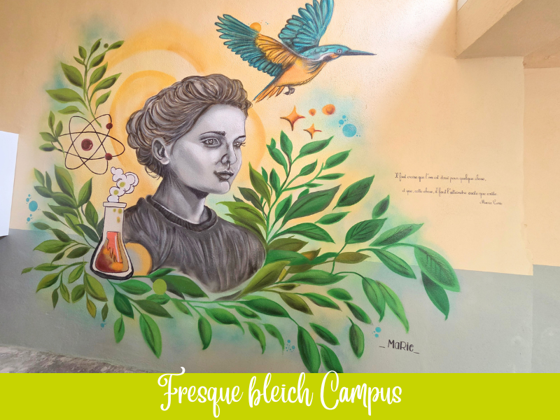Fresque Bleich Campus - Centre alsace habitat